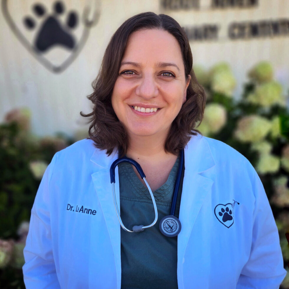 Preston, MN 55965 Veterinarians | Root River Veterinary Center